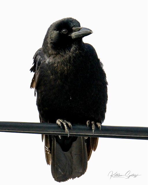 The Past As A Teacher – When The Psychology Professor Met The Minister